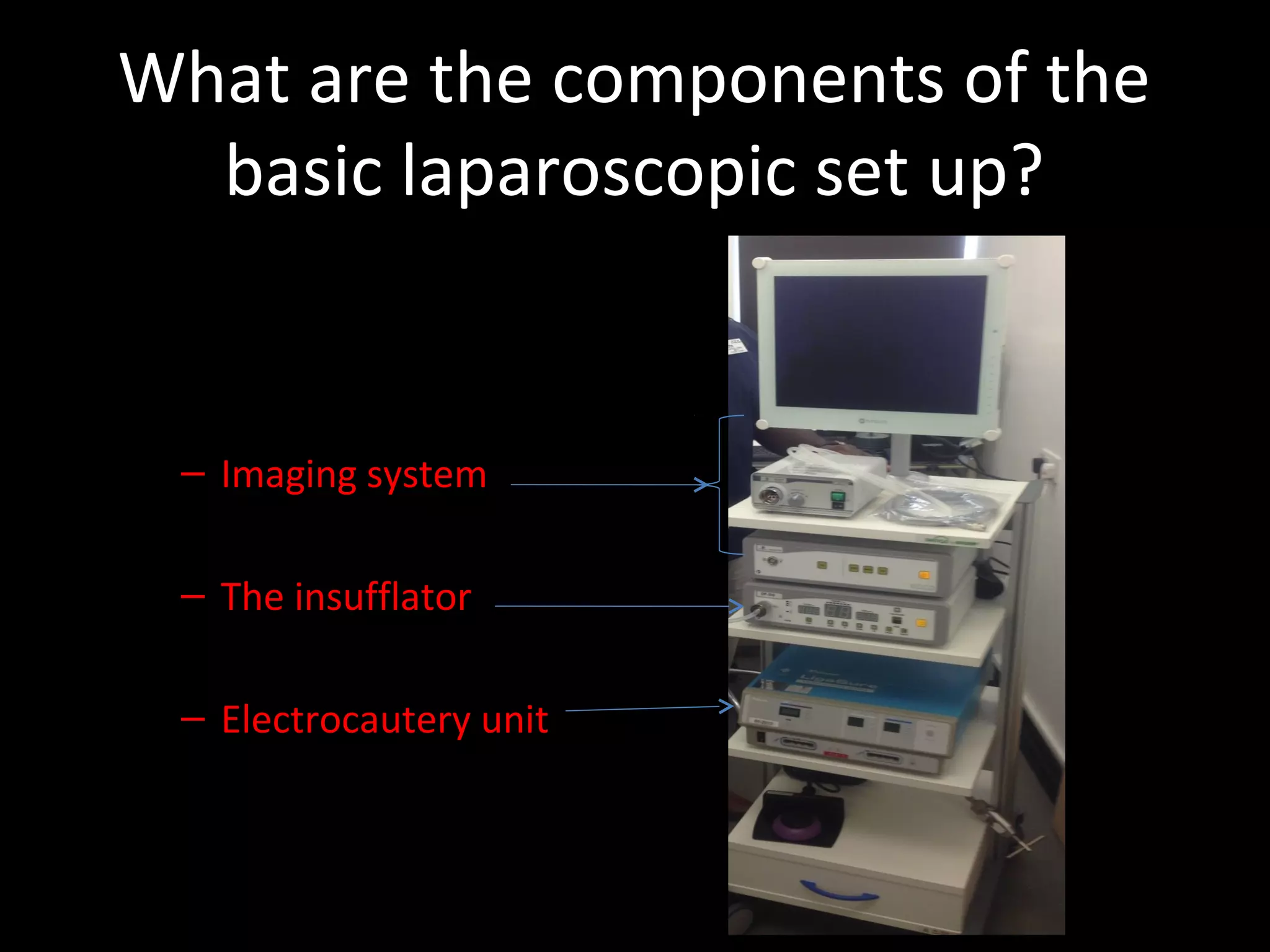 Laparoscopic surgery in dogs and cats | PPT