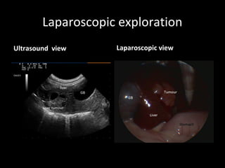 Laparoscopic surgery in dogs and cats | PPT