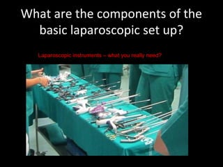 Laparoscopic surgery in dogs and cats | PPT