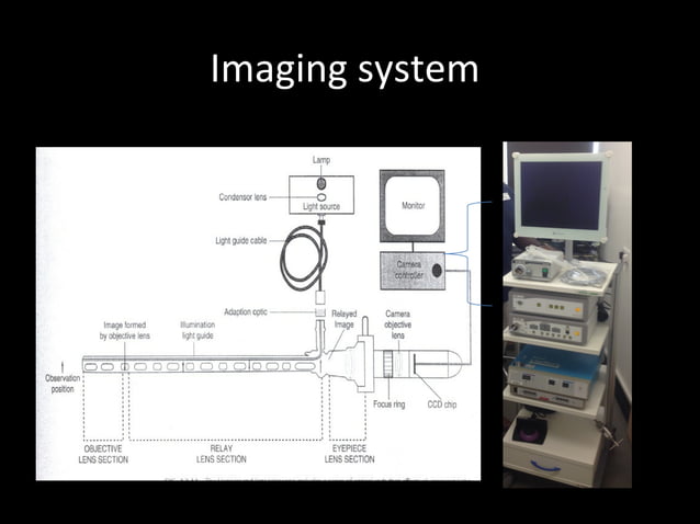 Laparoscopic surgery in dogs and cats | PPT | Surgery | Medical Health