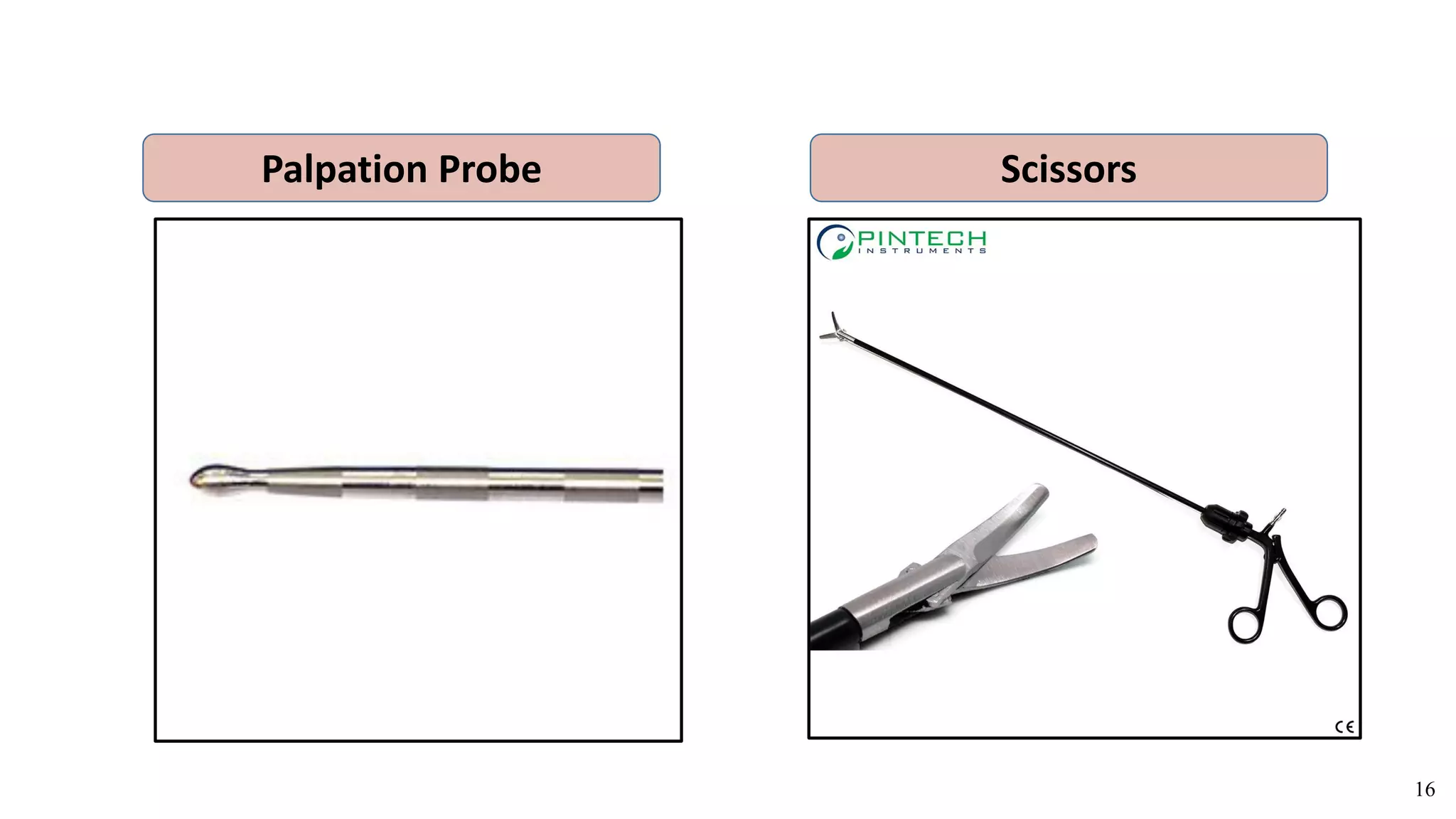 Laparoscopic surgery in dogs an overview | PDF