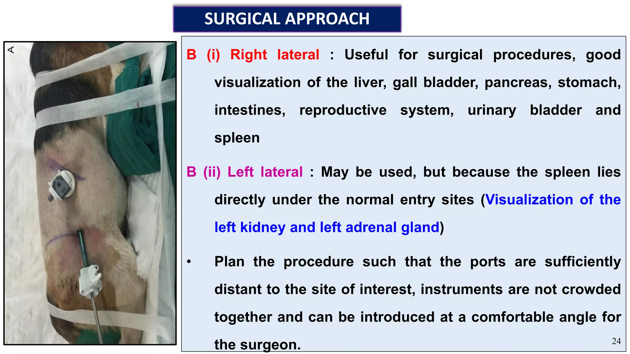 Laparoscopic surgery in dogs an overview | PDF