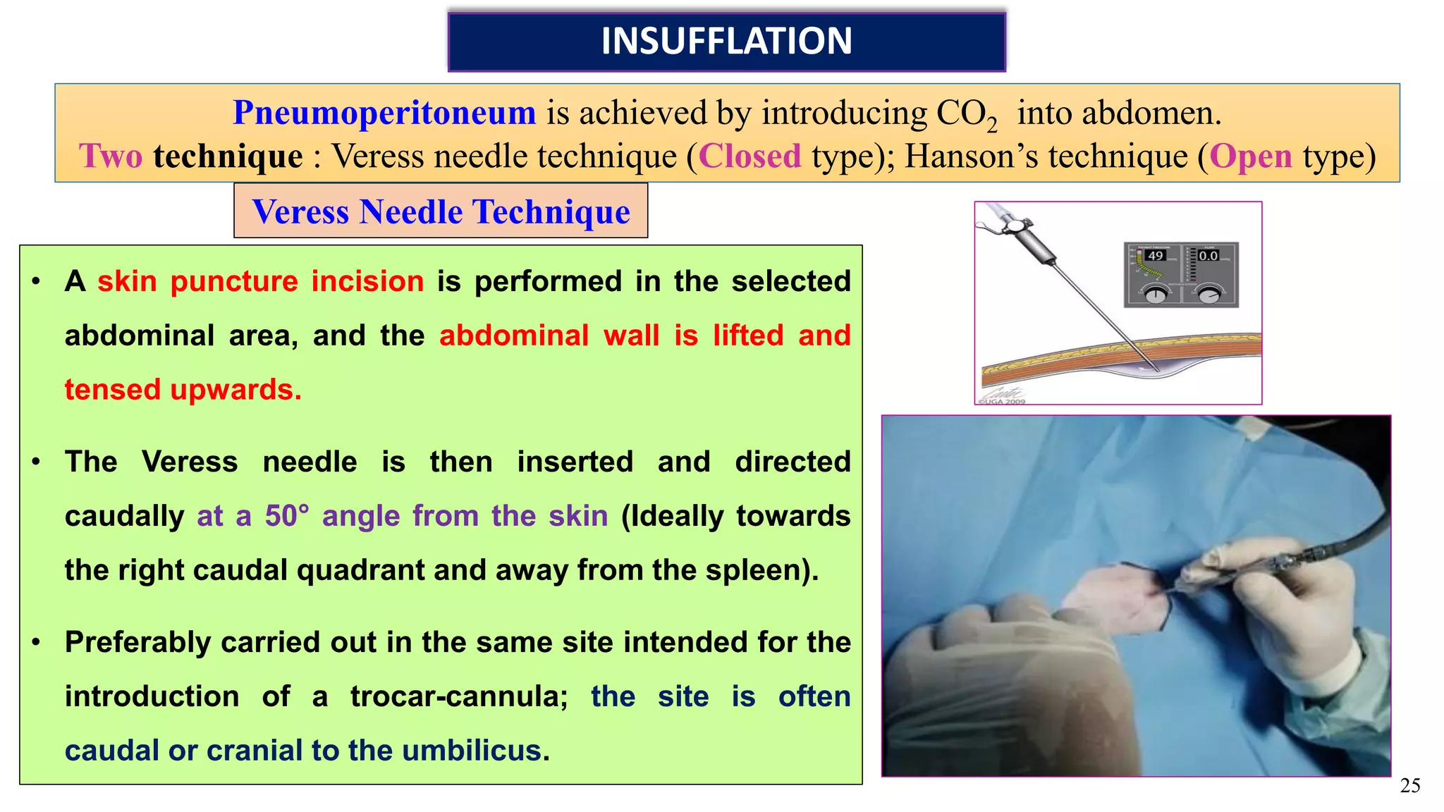 Laparoscopic surgery in dogs an overview | PDF