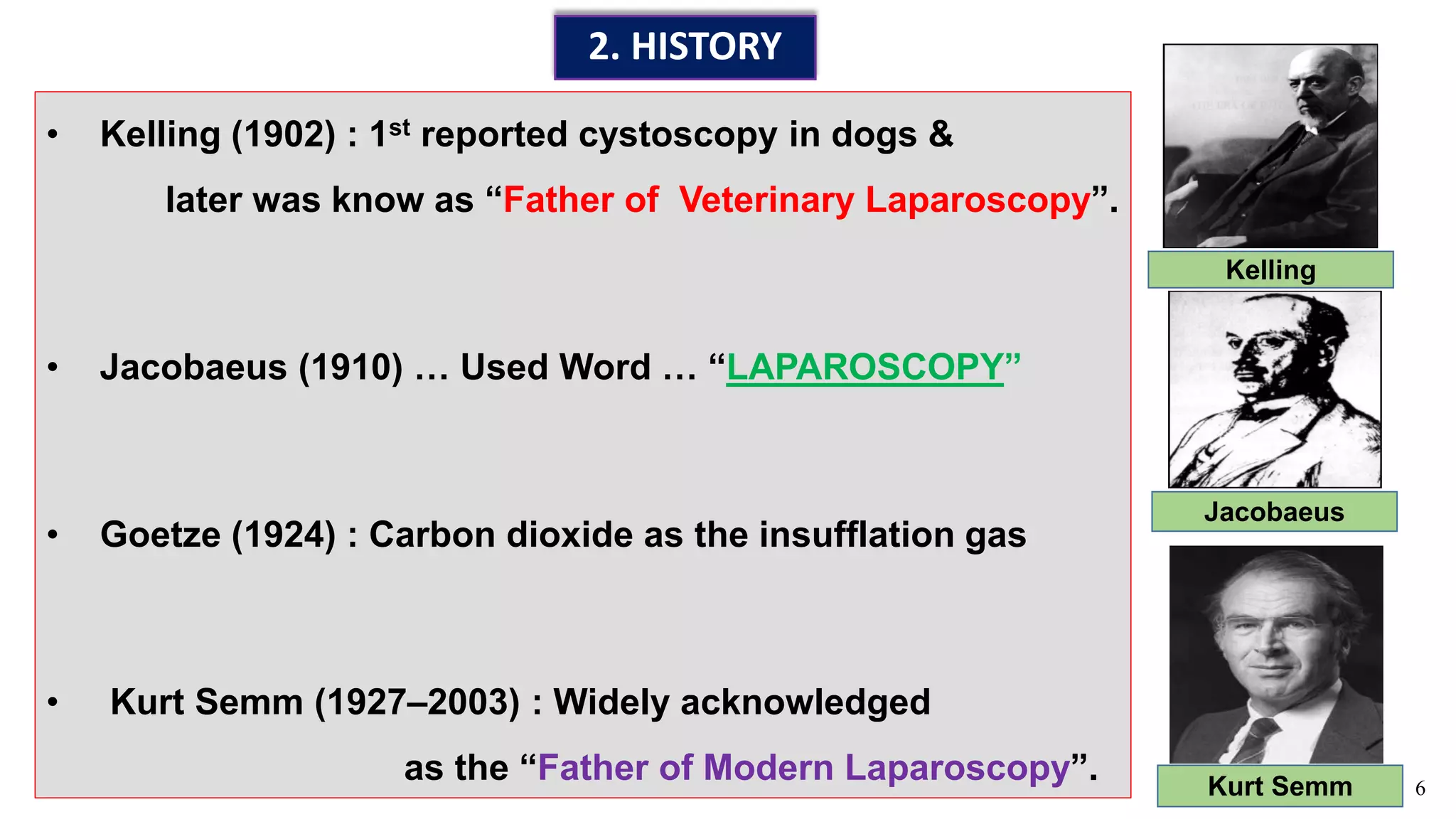 Laparoscopic surgery in dogs an overview | PDF