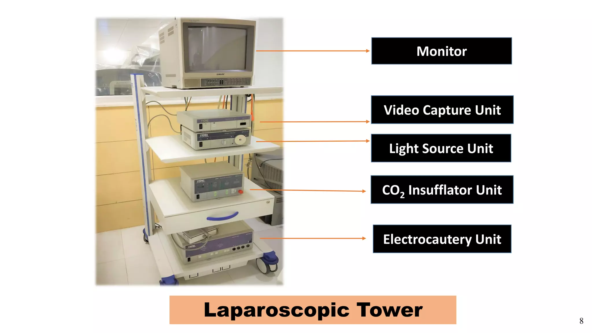 Laparoscopic surgery in dogs an overview | PDF