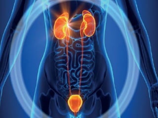 Laparoscopy - Sachse (5 Agustus 2021) (1).pdf