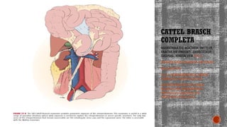 LAPAROTOMIA EN TRAUMA PRINCIPIOS Y TECNICAS.pptx