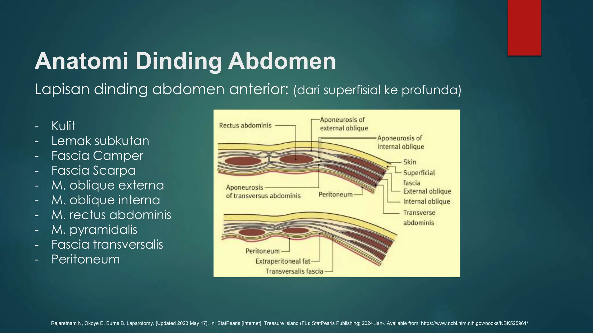 LAPAROTOMI EKSPLORASI YANG BISA DIPELAJARI | PPTX