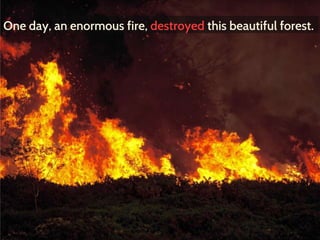 The Humming-bird’s share | PPT