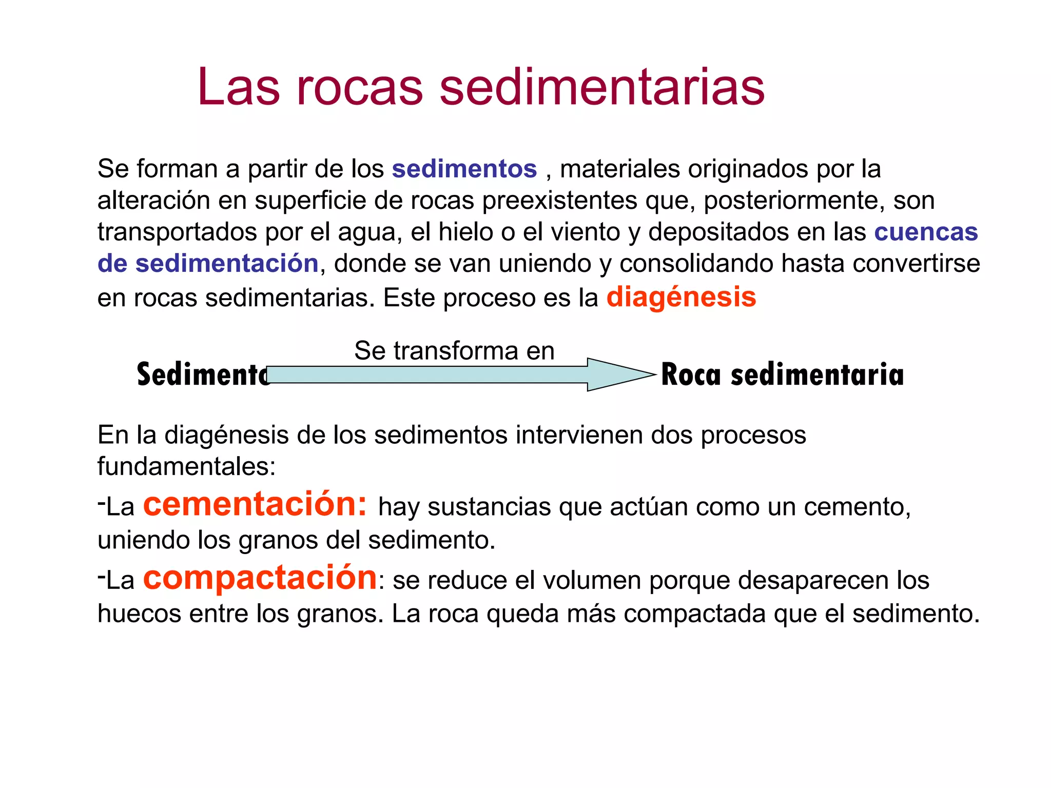 La parte sólida de la Tierra 9 - Rocas sedimentarias | PPT | Geology ...