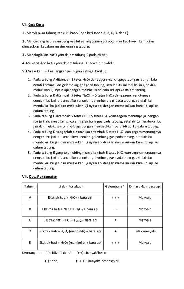 Laporan Biologi Enzim Katalase | DOCX