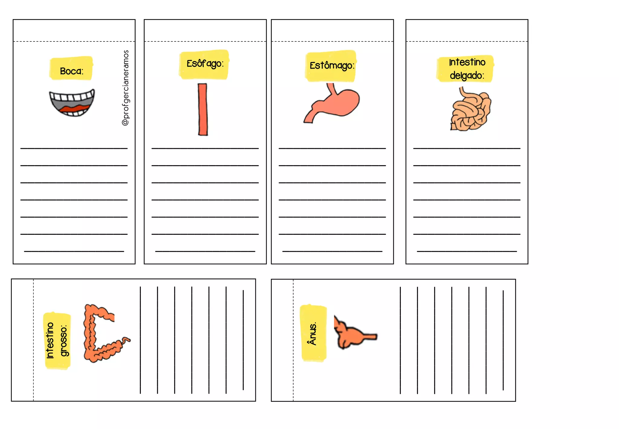 LAPBOOK sistema digestório final.pdf