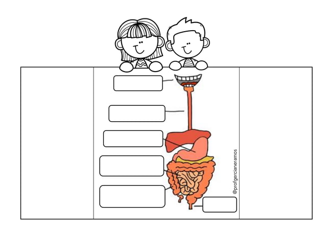 LAPBOOK sistema digestório final.pdf