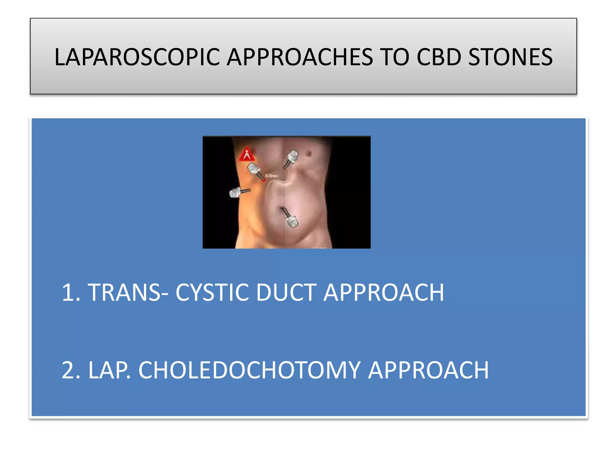 LAP CBD ppt | PPTX