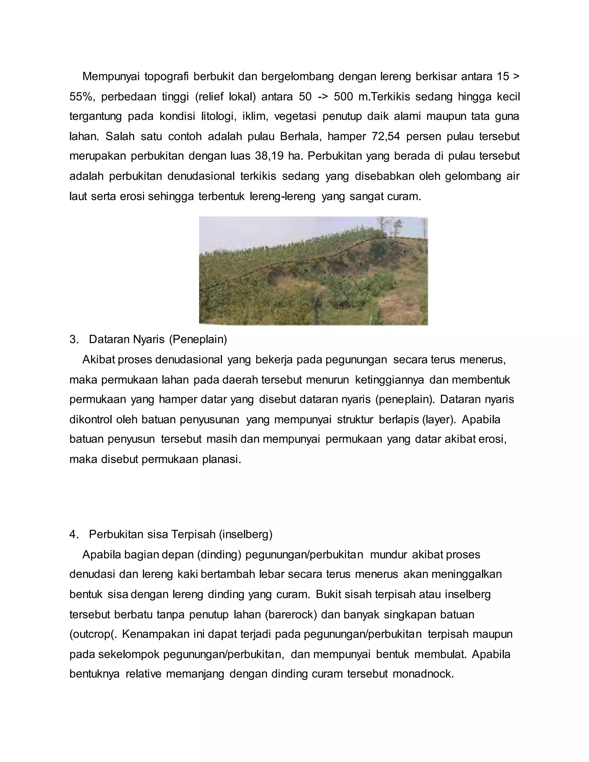 Laporan denudasional | DOCX