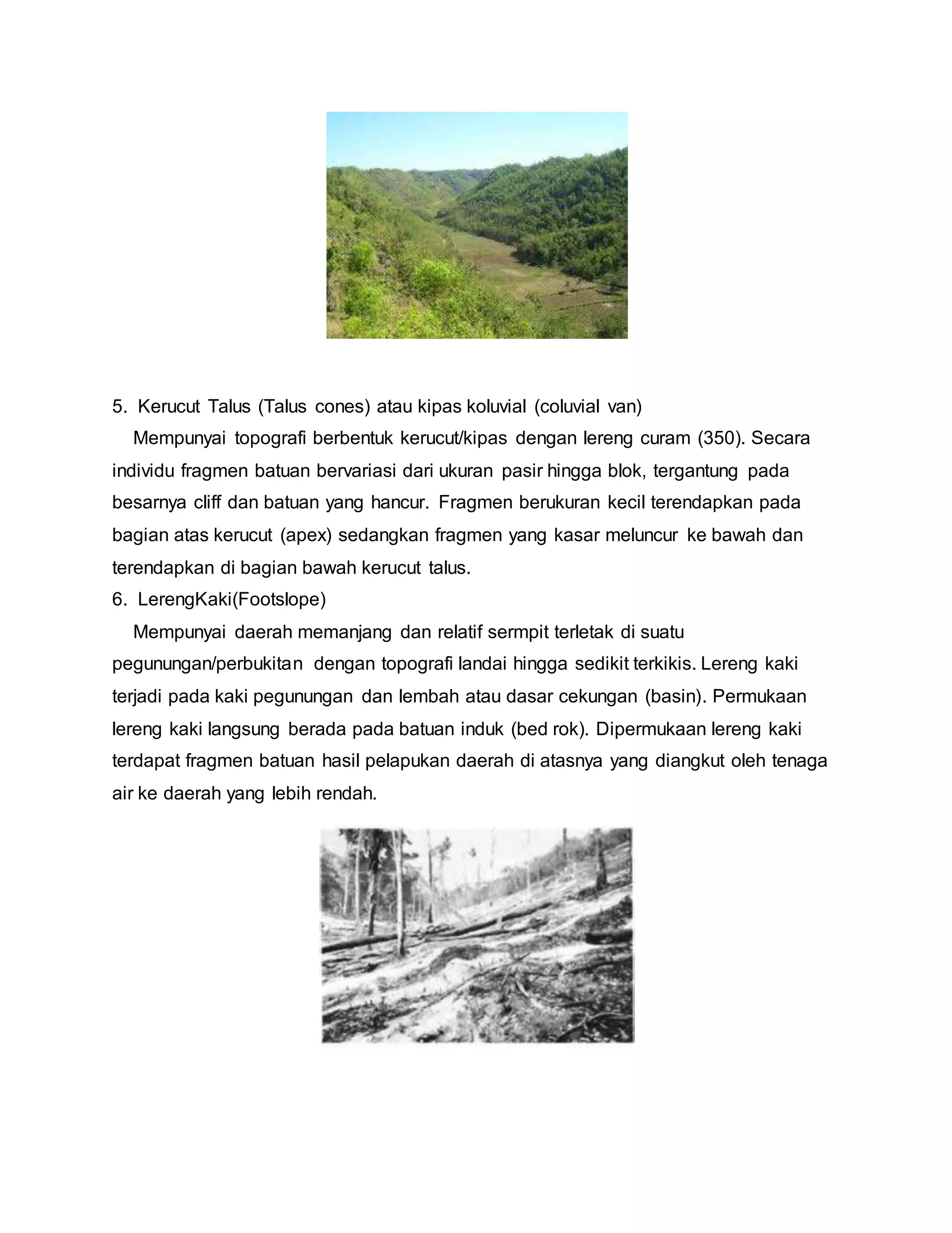 Laporan denudasional | DOCX