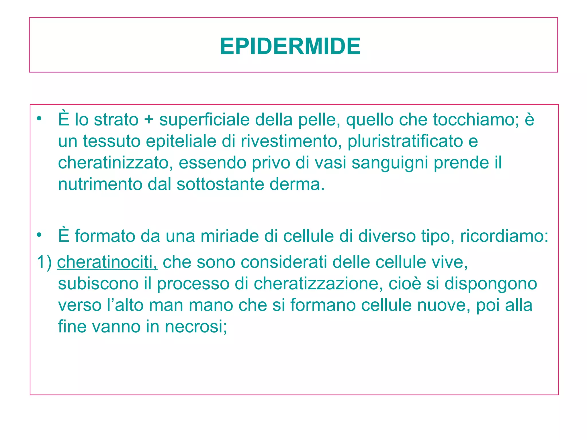La pelle e i sistemi di penetrazione cutanea | PPT
