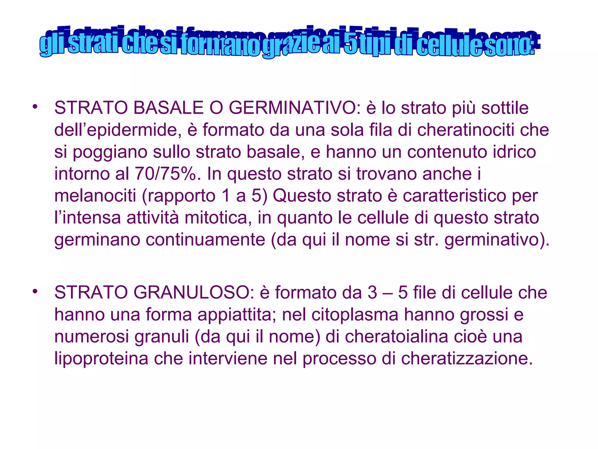 La pelle e i sistemi di penetrazione cutanea | PPT
