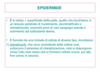 La pelle e i sistemi di penetrazione cutanea | PPT