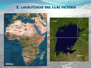 La perca al riu nil | PPTX