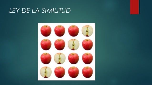 La percepción visual