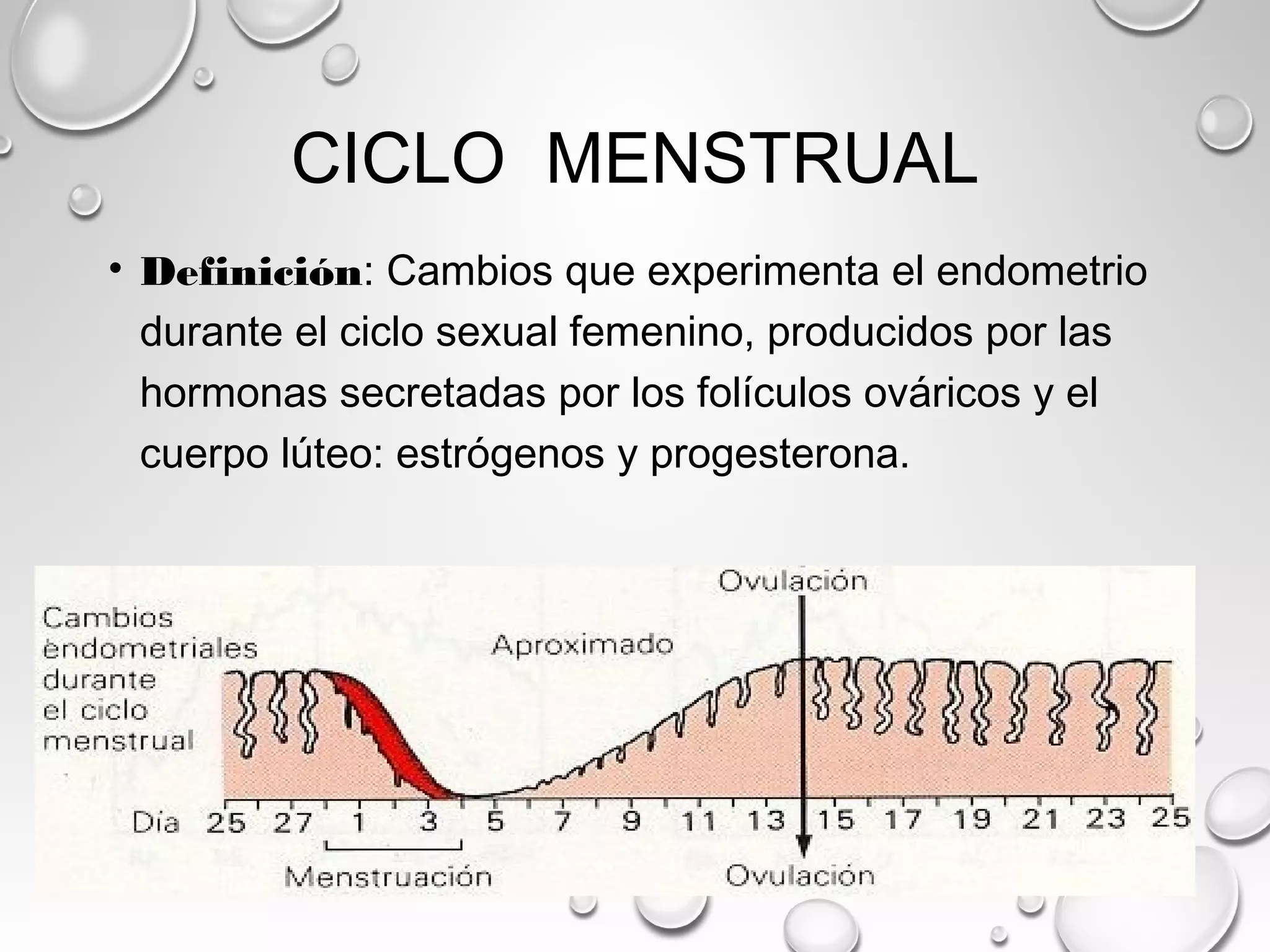 Ciclo sexual femenino | PPT