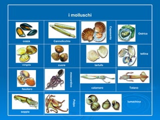La pesca italiana | PPT