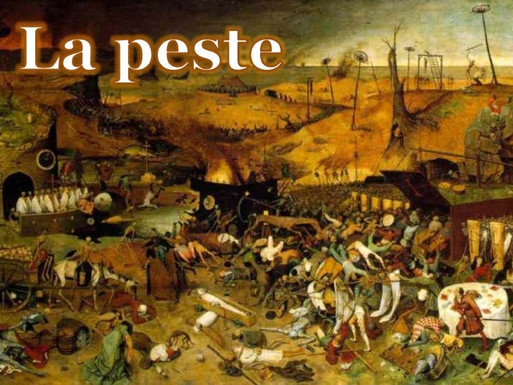 La peste Martina F. e Silvia D.