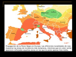 La Peste Negra | PPT