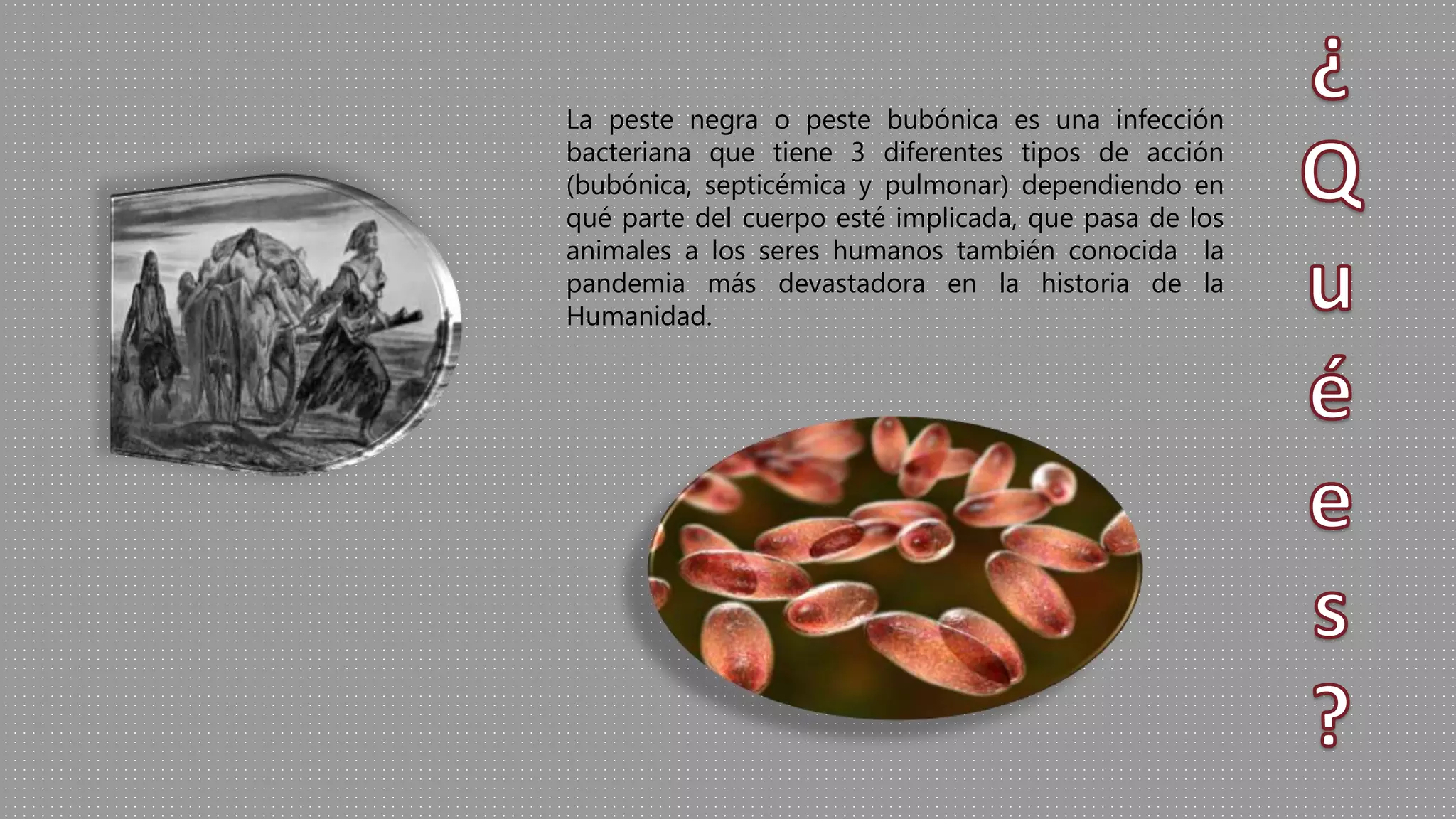 La peste negra | PPSX | Infectious Diseases | Diseases and Conditions