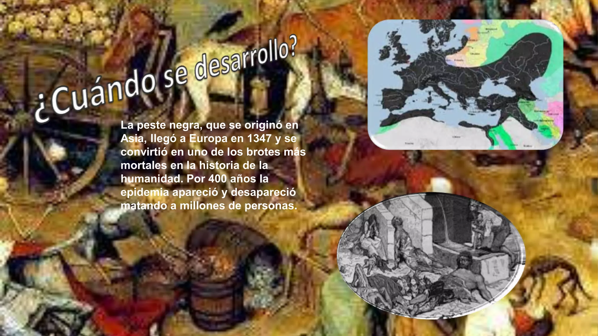 La peste negra | PPSX | Infectious Diseases | Diseases and Conditions