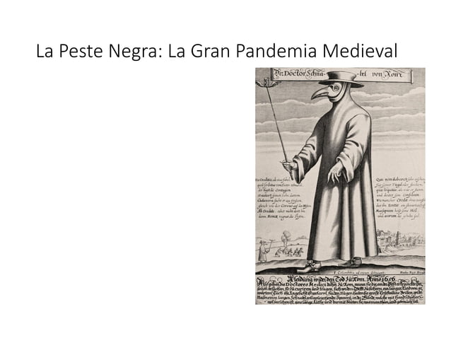 LA PESTE NEGRA EN EUROPA EN EL SIGLO XIV | PPT