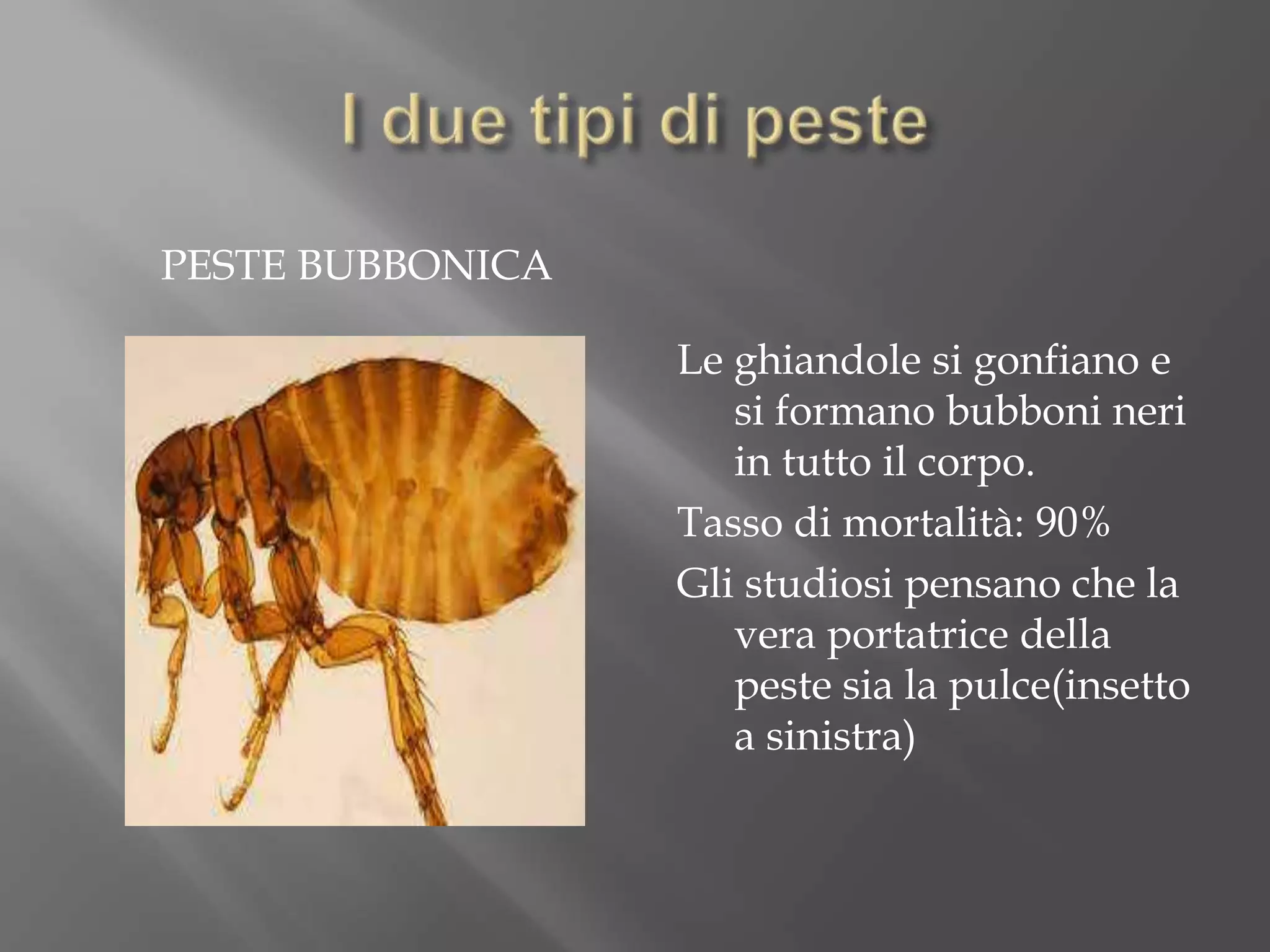 La peste (pres. storia) | PPTX