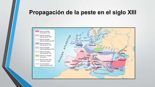 La peste y la practica medica | PPTX