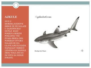 Lapčević i Makivić | PPTX