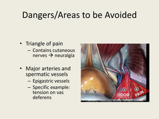 Laparoscopic Inguinal Hernia Repair Triangle Of Doom