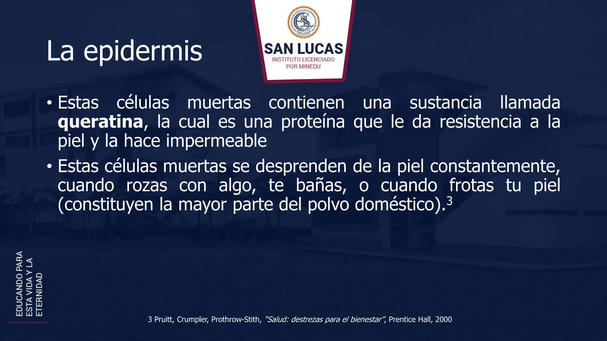 LA PIEL (SISTEMA TEGUMENTARIO) (SEM 12).pptx