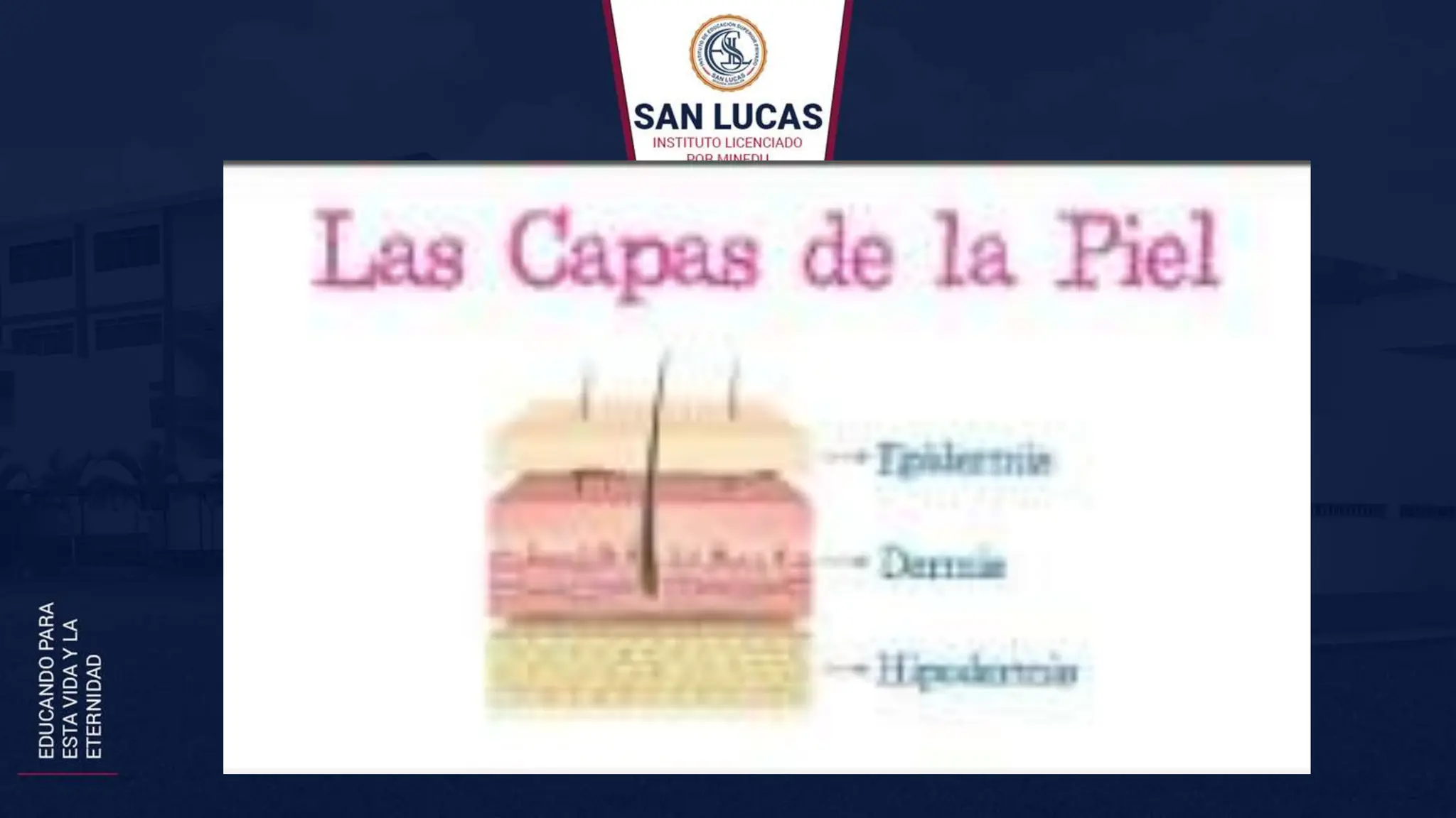 LA PIEL (SISTEMA TEGUMENTARIO) (SEM 12).pptx