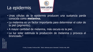 LA PIEL (SISTEMA TEGUMENTARIO) (SEM 12).pptx