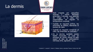 LA PIEL (SISTEMA TEGUMENTARIO) (SEM 12).pptx