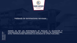LA PIEL (SISTEMA TEGUMENTARIO) (SEM 12).pptx