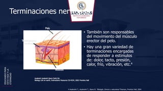 LA PIEL (SISTEMA TEGUMENTARIO) (SEM 12).pptx