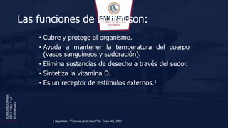 LA PIEL (SISTEMA TEGUMENTARIO) (SEM 12).pptx