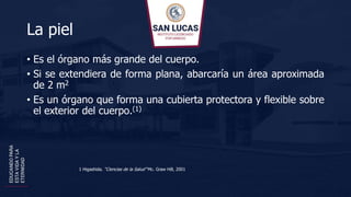 LA PIEL (SISTEMA TEGUMENTARIO) (SEM 12).pptx