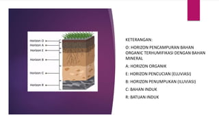 Lapisan Tanah.pptx