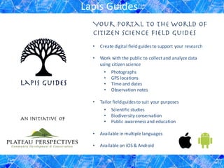 Lapis Guides | PPT