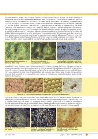 L'apis n 1 gennaio 2016 opercolo | PDF