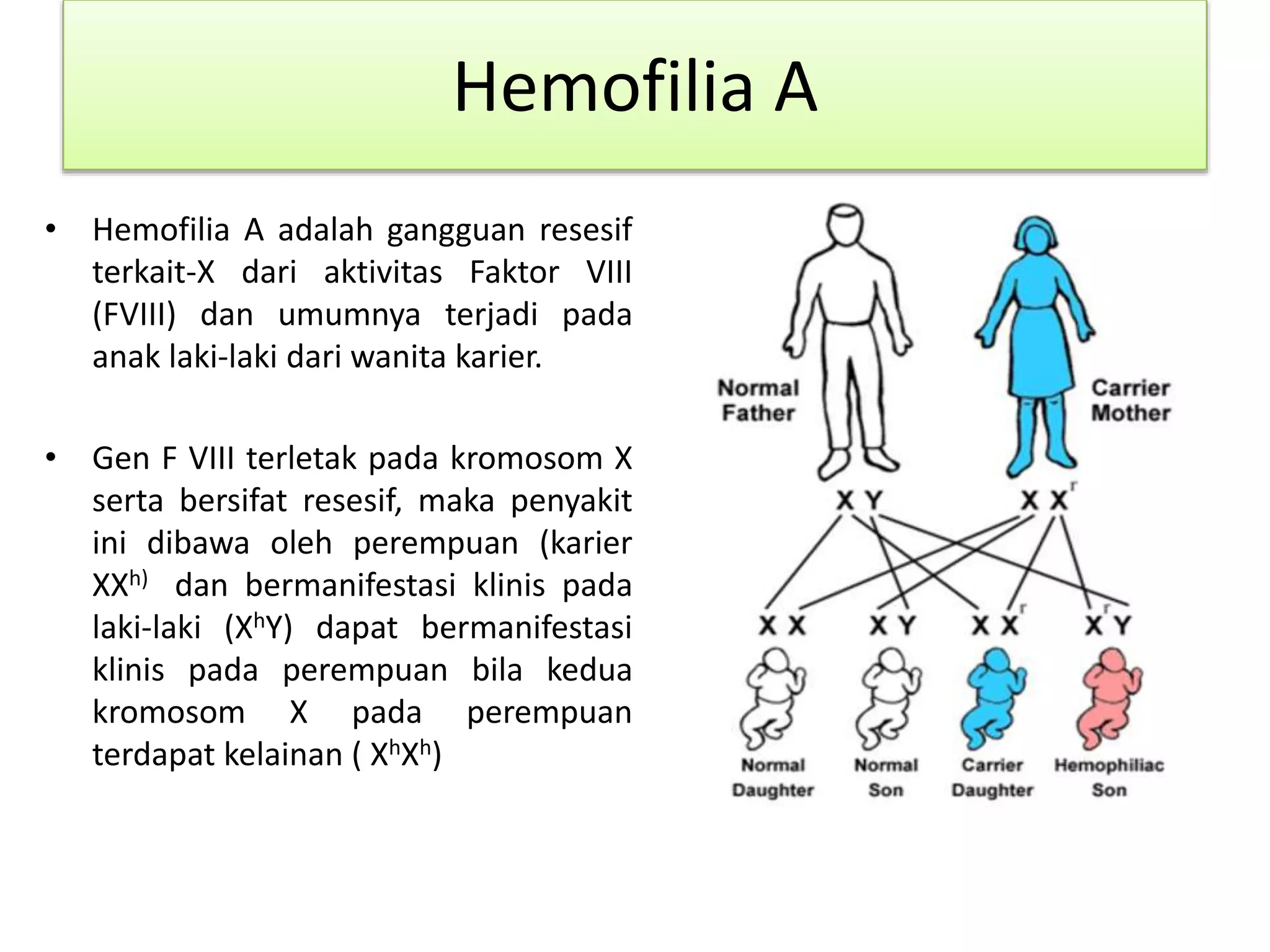 lapkas 1 Putra Basmayus Kolitis Ulceratif Pada Pasien Hemofilia A slide.pptx