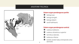 lapkas dellla.pptx