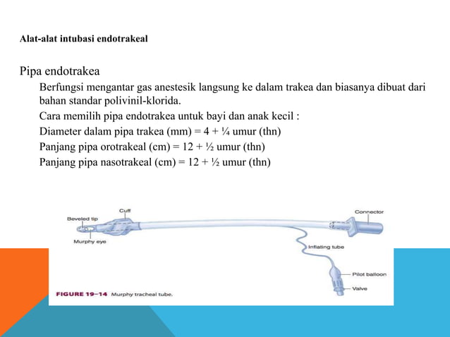 LAPKAS TUMOR MAKSILA ppt.pptx